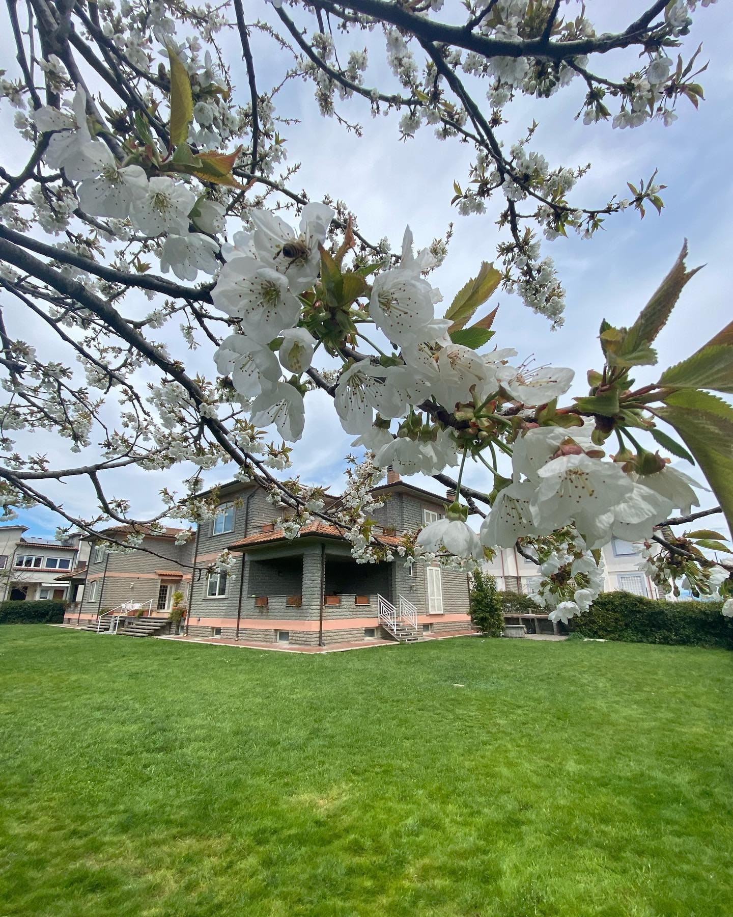 La Casa di Sofia - Monterosi